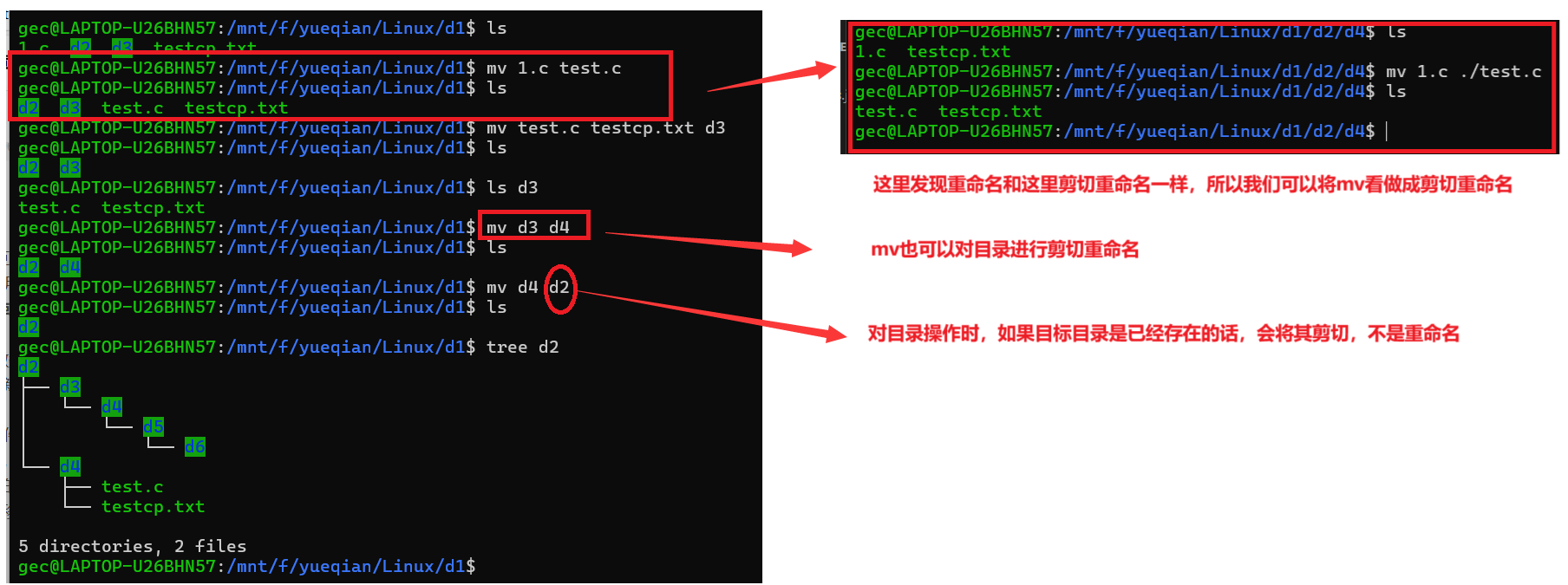 Linux指令(man,cp,mv,cat,more,less,head,tail)-CSDN博客