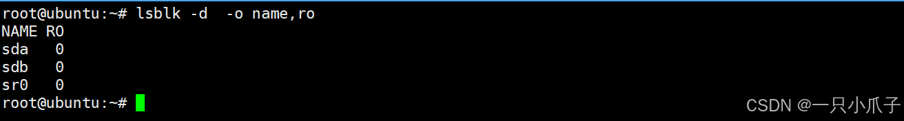 lsblk 使用说明_lsblk -d -o-CSDN博客