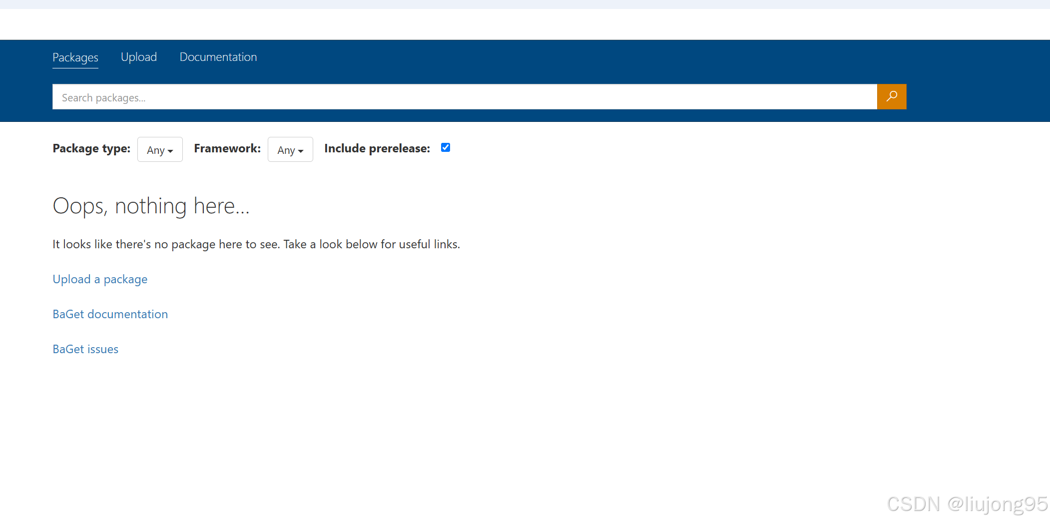 NuGet包私有化部署及应用NuGet包源管理-CSDN博客