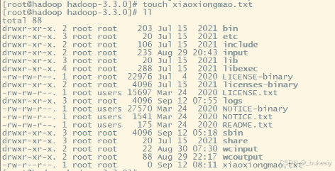 Hadoop手把手教你生态搭建及项目实战系列（六）HDFS Shell命令_hadoop简单项目实战-CSDN博客