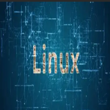 Linux开发工具的使用（yum包含一些好玩的程序、vim）篇_yum 一些常用工具安装-CSDN博客
