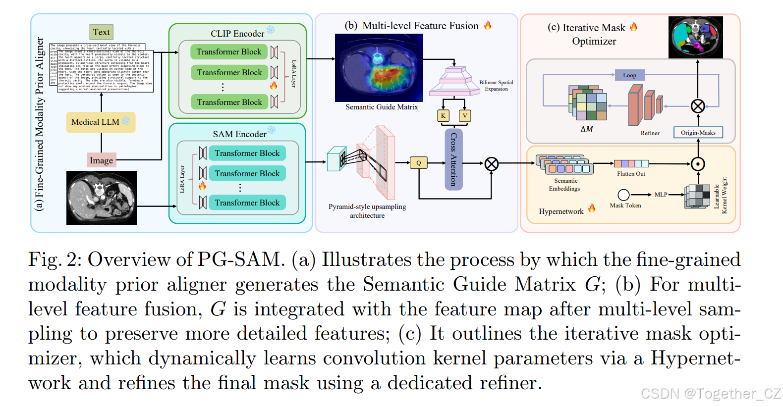 PG-SAM: Prior-Guided SAM with Medical for Multi-organ Segmentation——用于多 ...