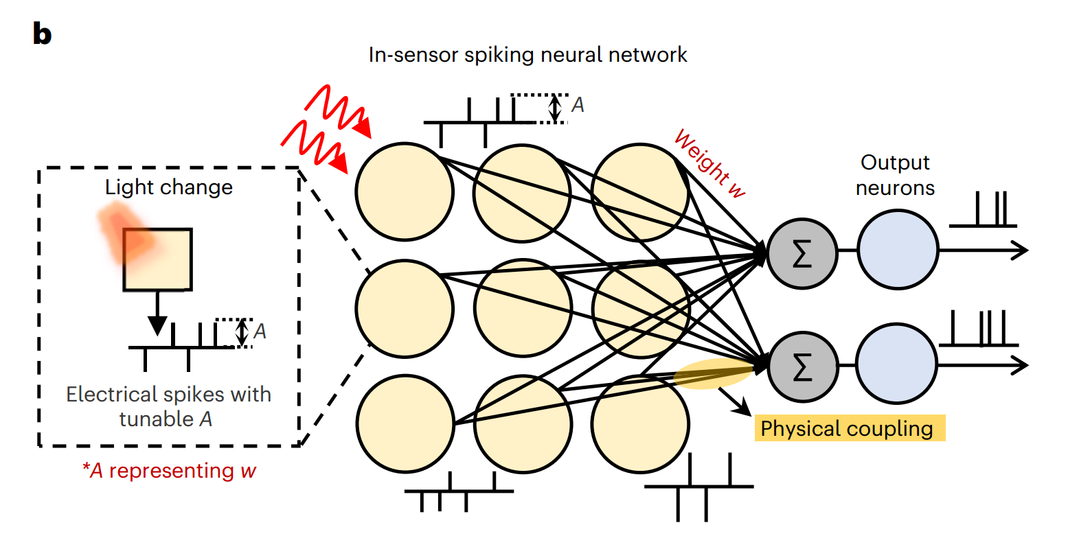 In-sensor Computing:感内计算-CSDN博客