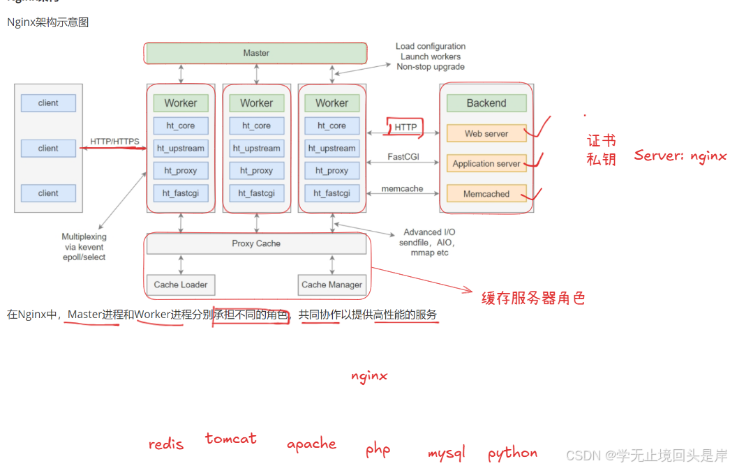 企业级高性能WEB服务器Nginx_nginx版本-CSDN博客