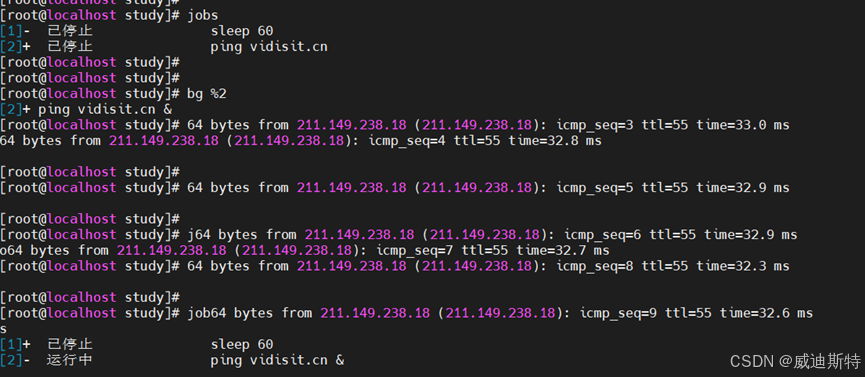 Linux进程操作命令：用于将一个已经停止（挂起）的前台作业放到后台继续运行的命令bg详解bg挂后台运行 Csdn博客 2941