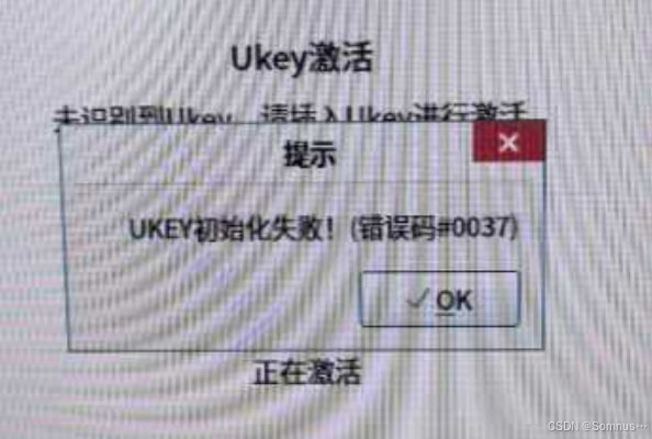 银河麒麟麒麟服务器SP3-2403系统使用Ukey激活报错#0037问题处理方法_麒麟2403激活-CSDN博客