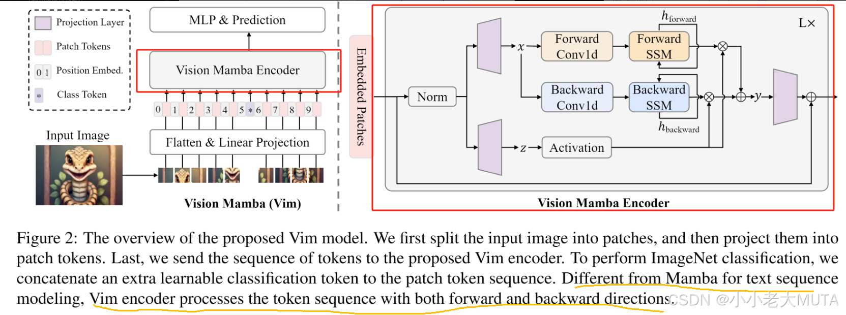 Vision Mamba代码解读——模型篇-CSDN博客