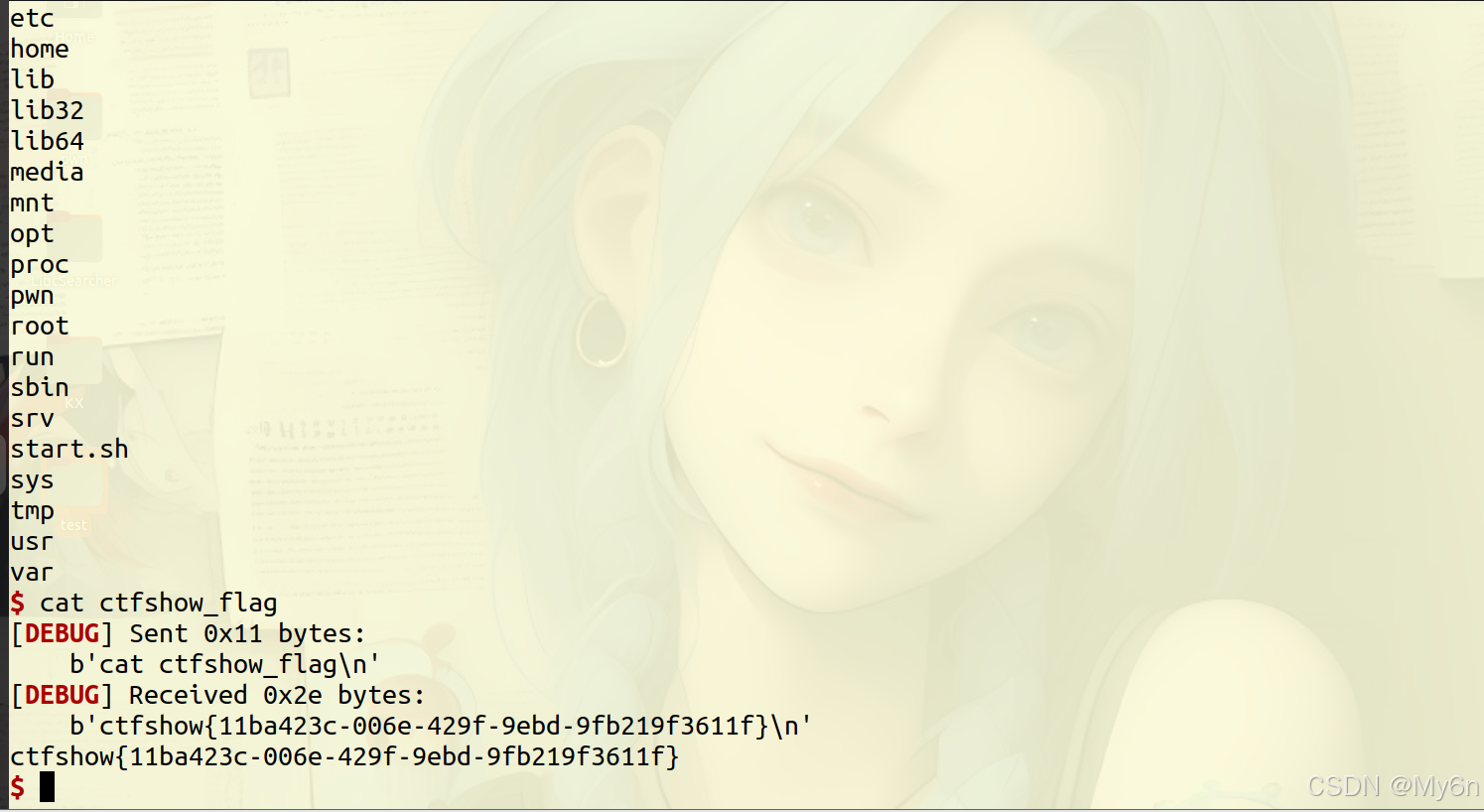 CTFshow-PWN-栈溢出（pwn50）_ctfshow pwn50-CSDN博客