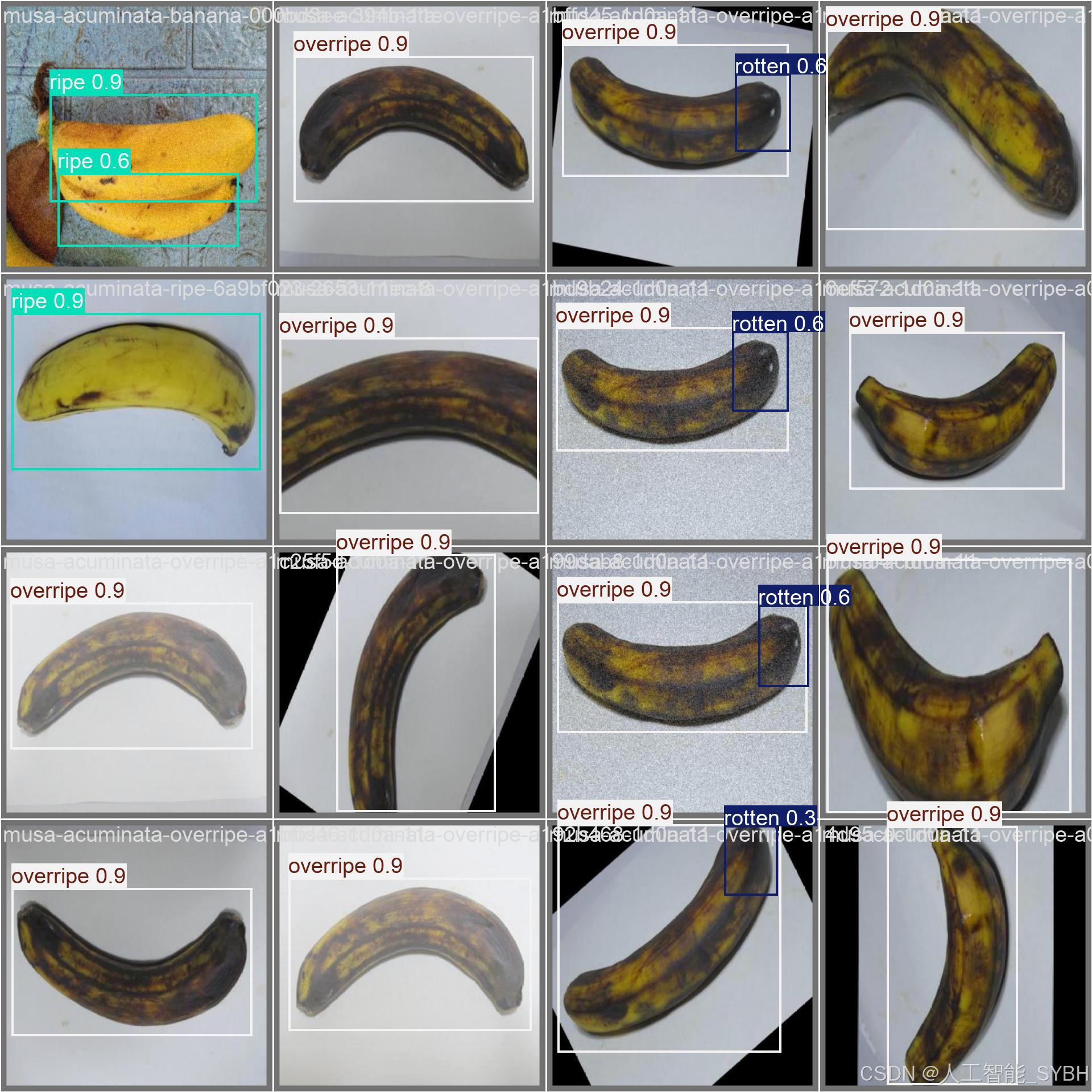 基于YOLOv8的香蕉成熟度检测系统（深度学习模型+UI界面+Python代码+训练数据集）-CSDN博客