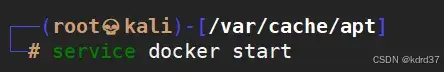 【只需一条命令】kali安装docker环境（包含使用范例）_kali docker-CSDN博客