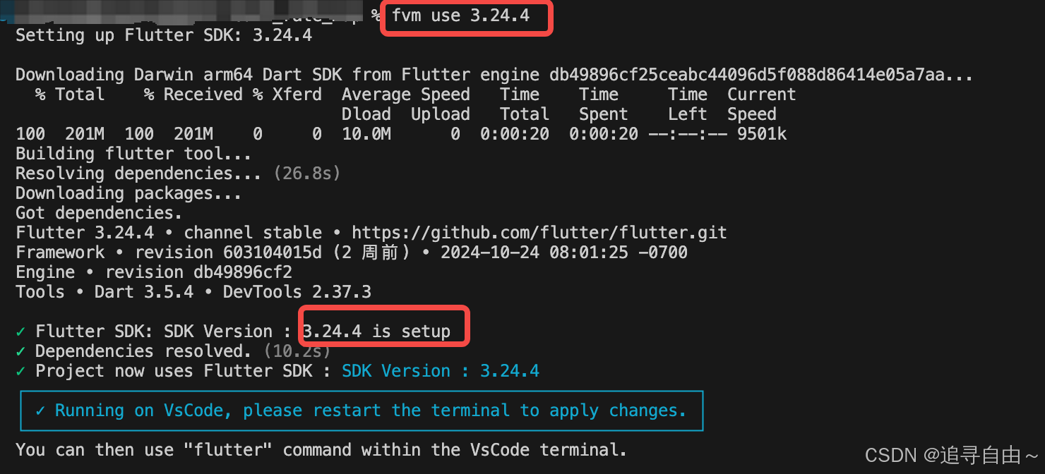 fvm的使用总结_fvm 命令-CSDN博客
