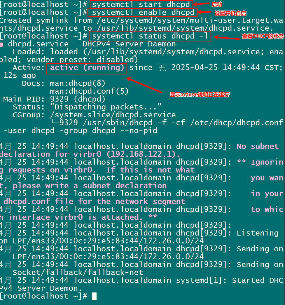 CentOS部署DHCP服务器全指南：原理+实战+避坑_centos搭建dhcp服务器-CSDN博客