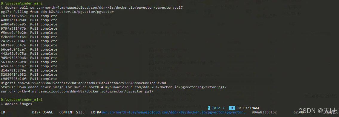 PostgreSQL + pgvector + LLM RAG docker方式部署(windows)_win docker 安装 pgvetor-CSDN博客