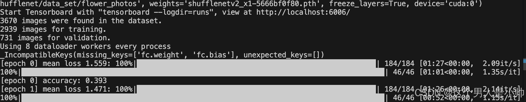 【Shuffle Net V2】精讲 (5) 【pytorch】完整可运行代码_shufflenet代码-CSDN博客