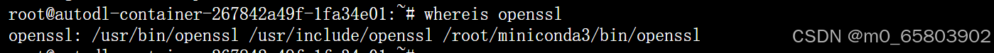 在linux上升级安装openssl3.0+-CSDN博客