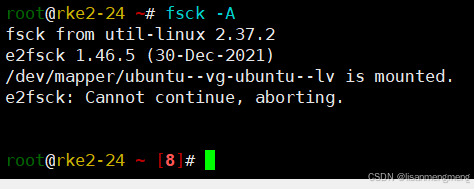 fsck 命令的介绍和使用案例-CSDN博客