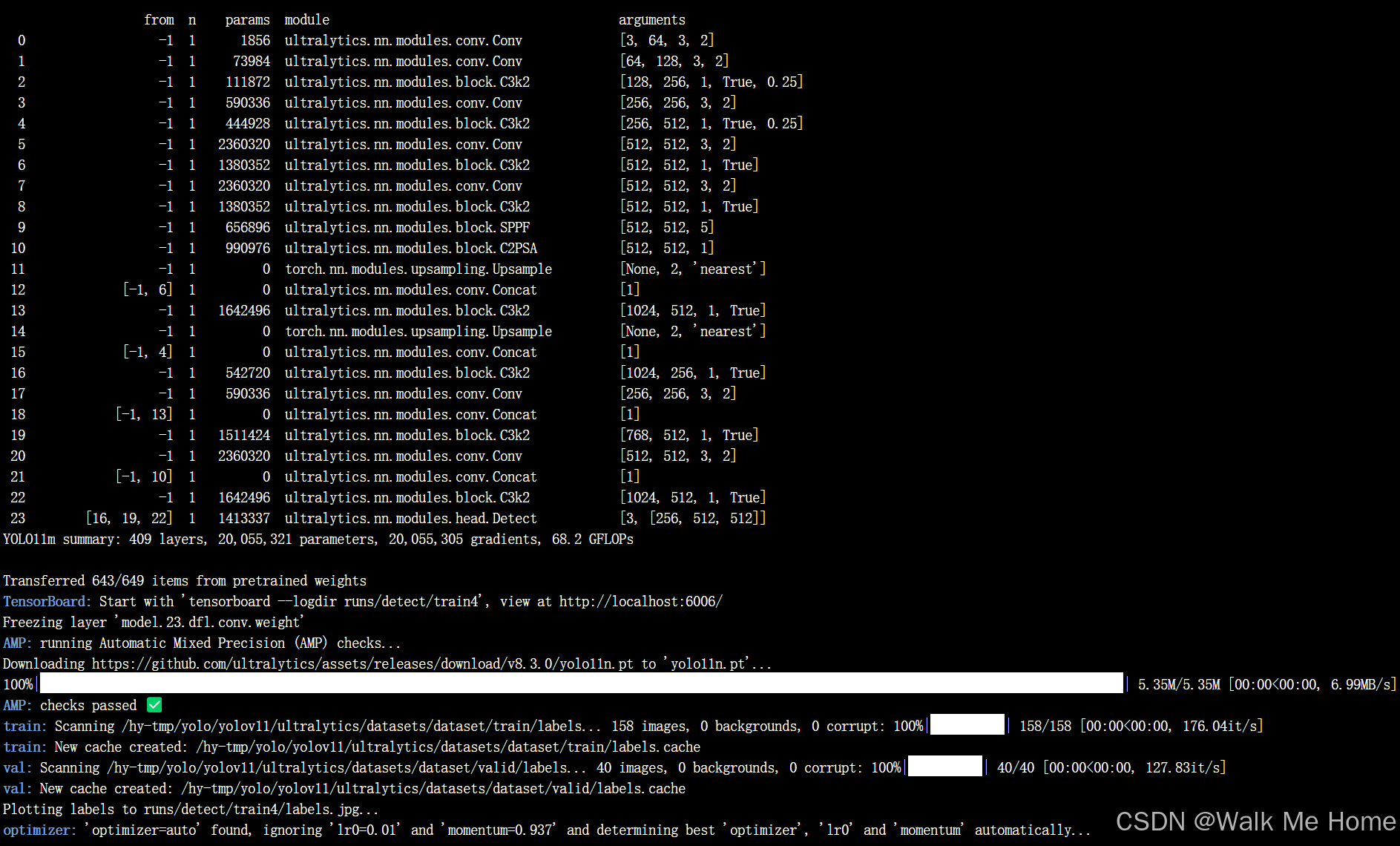 运行yolov8以及yolov11的踩坑点以及细节_yolo v8 切换为yolov11-CSDN博客