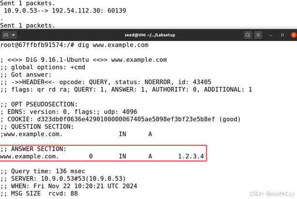 【Seed-Labs 2.0】Local DNS Attack Lab_seedlab dns-CSDN博客