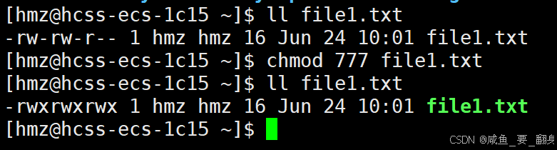 Linux基本命令篇 —— cp命令_linux cp-CSDN博客