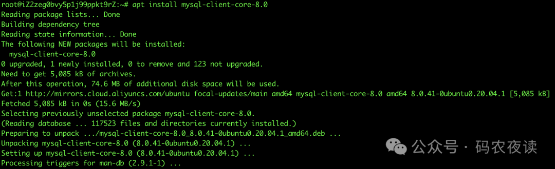 Python Tortoise ORM库的基础操作介绍-CSDN博客
