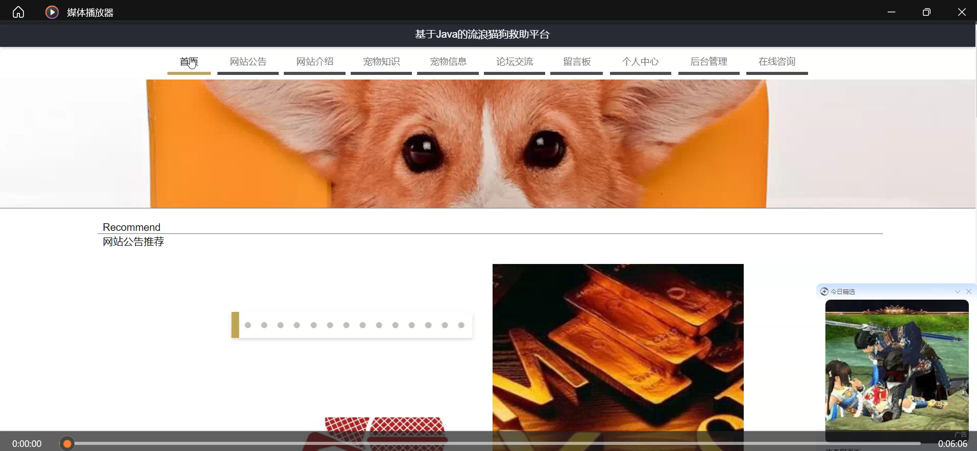 2026毕设ssm+vue基于的流浪猫狗救助平台论文+程序-CSDN博客