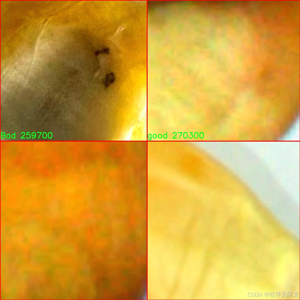 基于YOLOv8/YOLOv7/YOLOv6/YOLOv5的玉米种子质量检测系统（深度学习模型+UI界面+Python代码+训练数据集）图像识别、自动化检测、农产品质量分析 农产品质量检测 ...