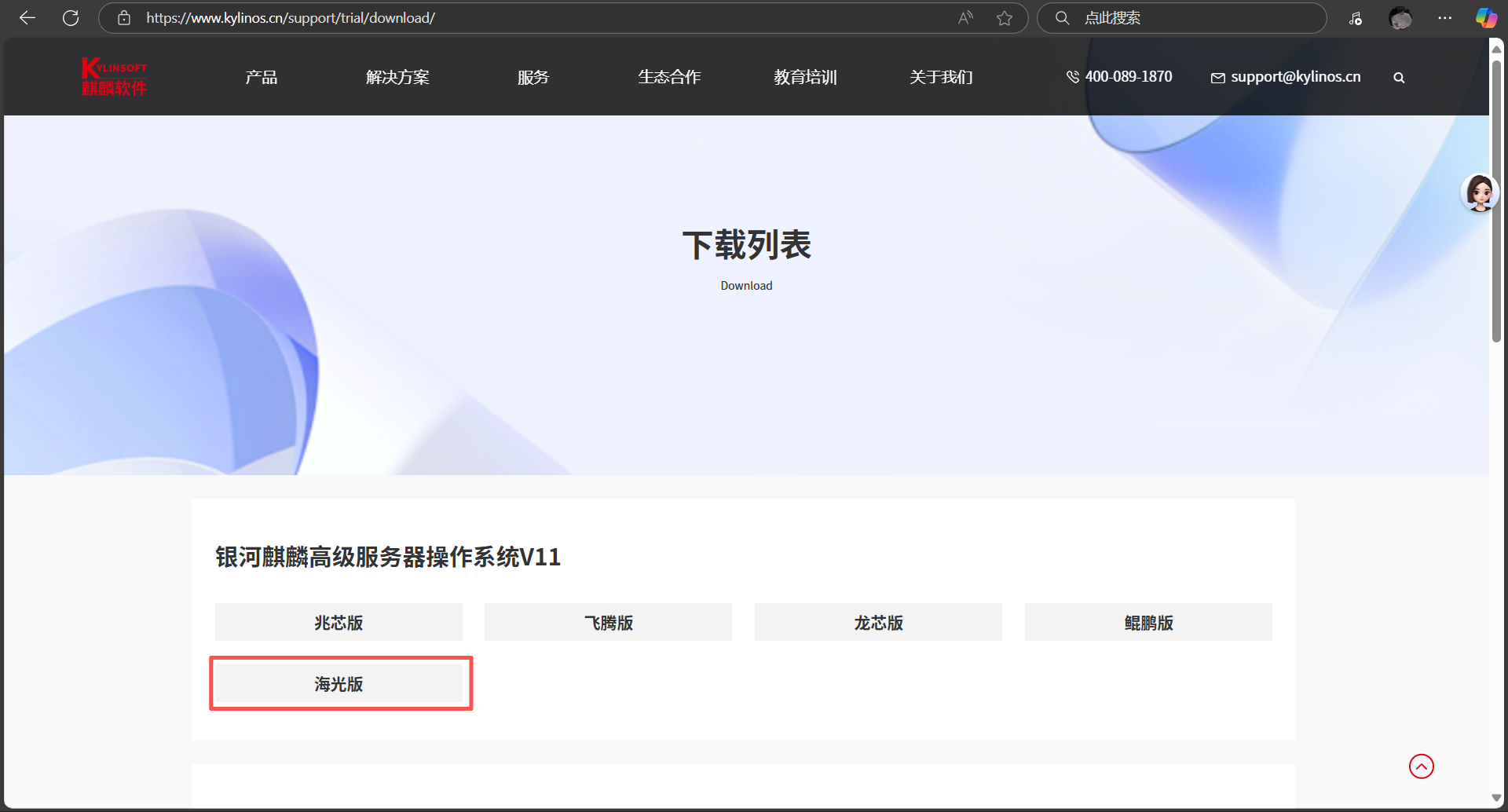 麒麟 V11 系统（Kylin Linux Advanced Server V11）VMWare 安装教程_银河麒麟v11下载-CSDN博客