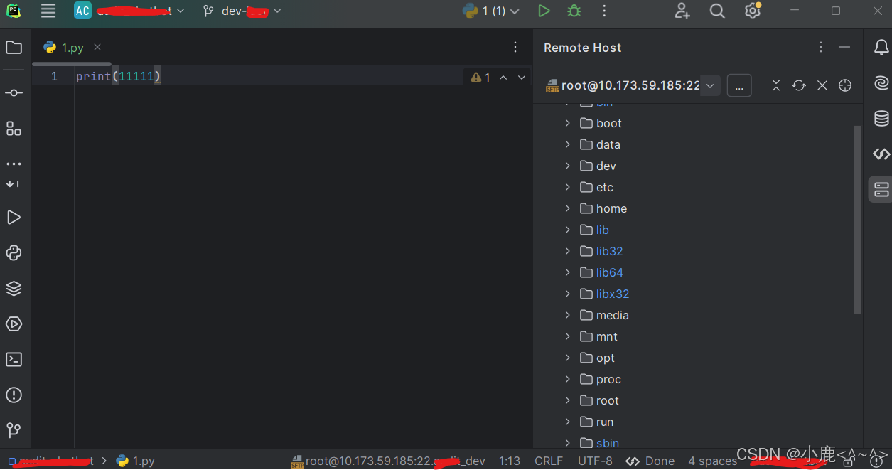 PyCharm 2024连接远程服务器_pycharm连接服务器-CSDN博客