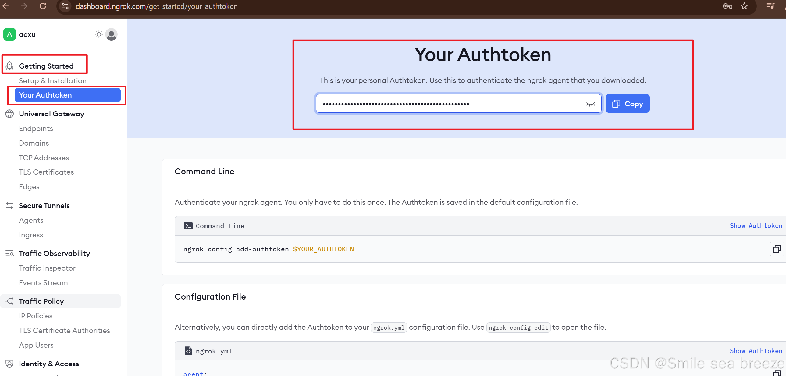 ngrok 提示您提供的 authtoken 格式不正确，无法进行身份验证_authentication failed: usage of ngrok requires a v-CSDN博客