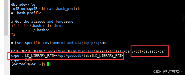 linux安装gaussdb客户端：gsql_gsql客户端安装-CSDN博客