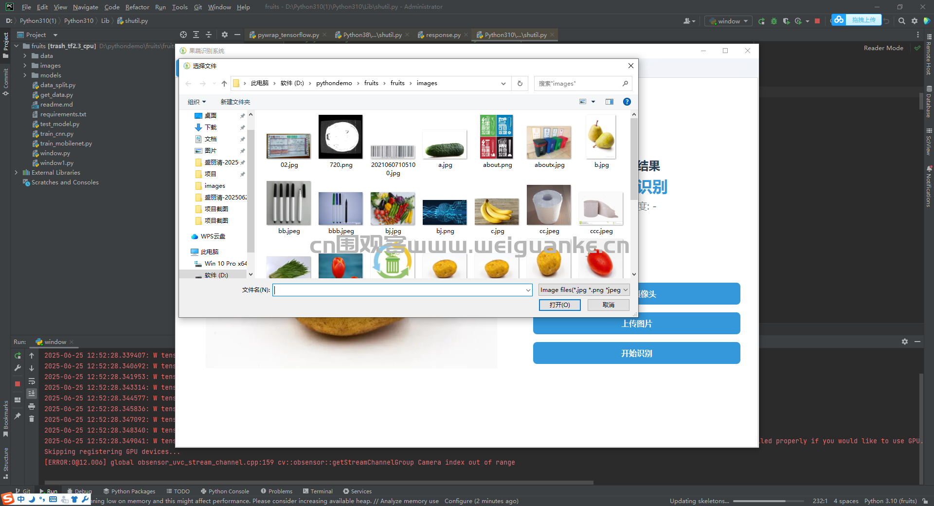 果蔬识别系统-PyQt5 + TensorFlow +MobileNet（CNN）_从零到1 做一个水果识别系统 python tensorflow-CSDN博客