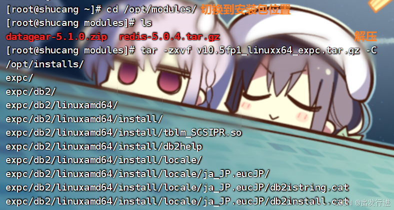 DB2在Linux的安装过程，详细命令+本人安装过程的配图详解_db2数据库安装-CSDN博客