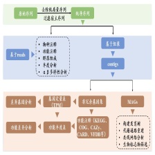 宏基因组分析|物种注释——kraken2+bracken_karken2 的标准数据库-CSDN博客