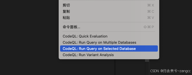 「2025最新」Visual Studio Code配置CodeQL代码扫描-基于MacBook M系列芯片（ARM）_vscode ...