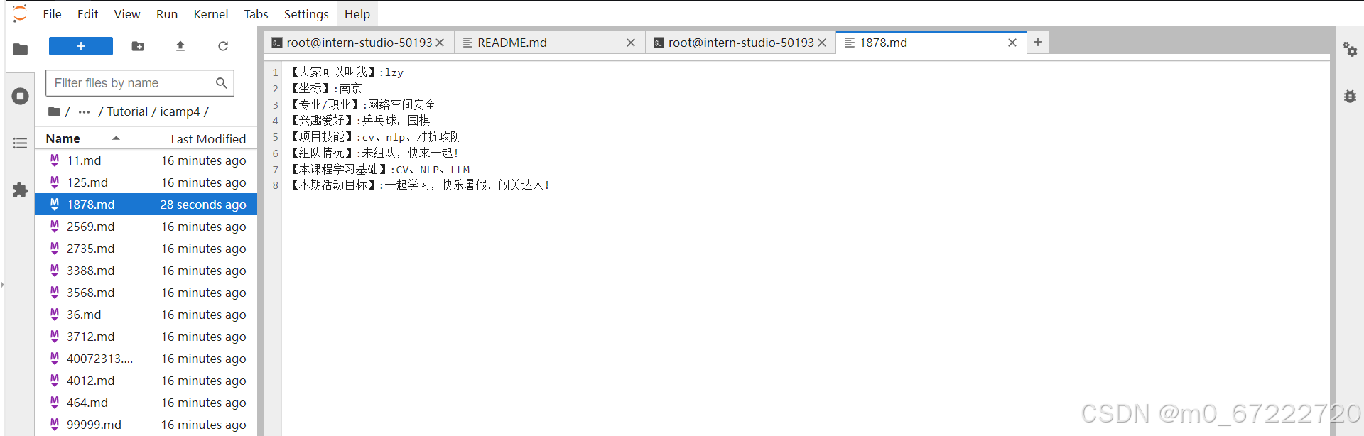 InternLM Camp4 L0G3000 Git 基础知识-CSDN博客