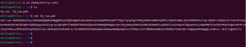 ubuntu使用remmina软件进行ssh免密登录_ubuntu remmina-CSDN博客