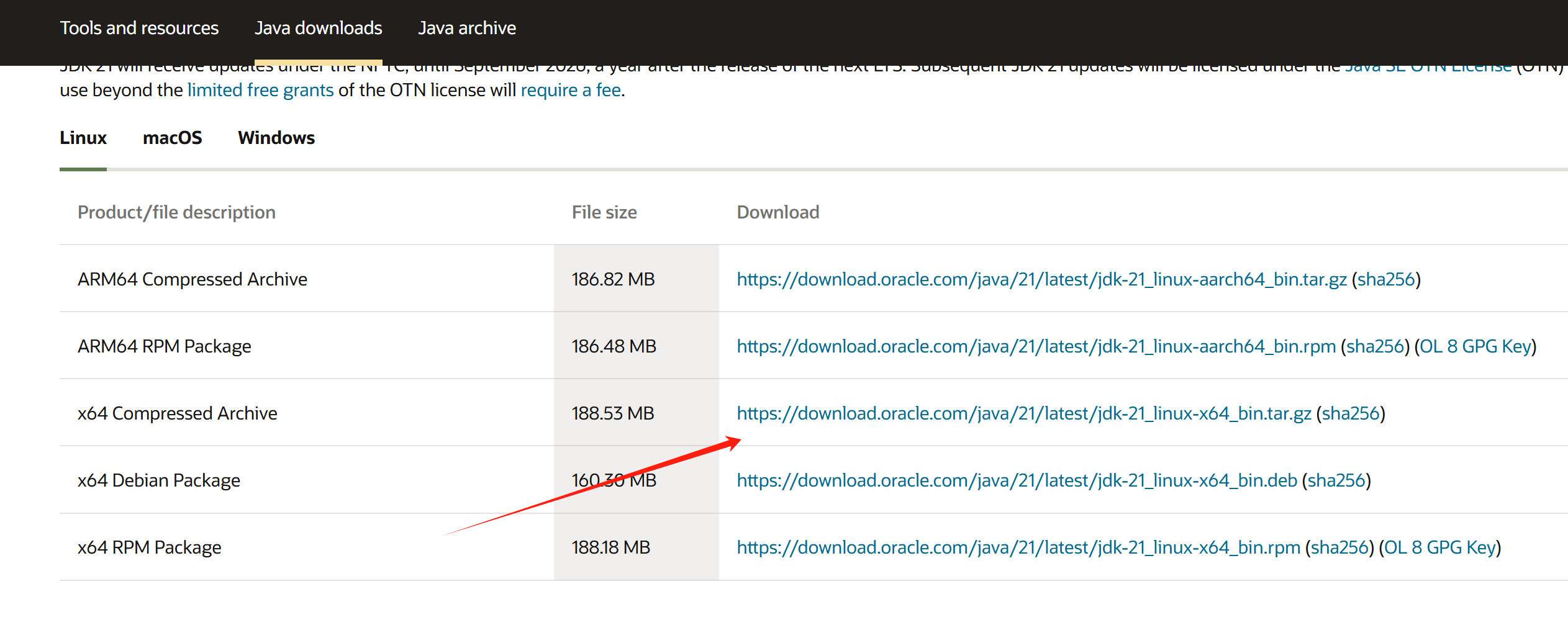 安装jdk21-CSDN博客