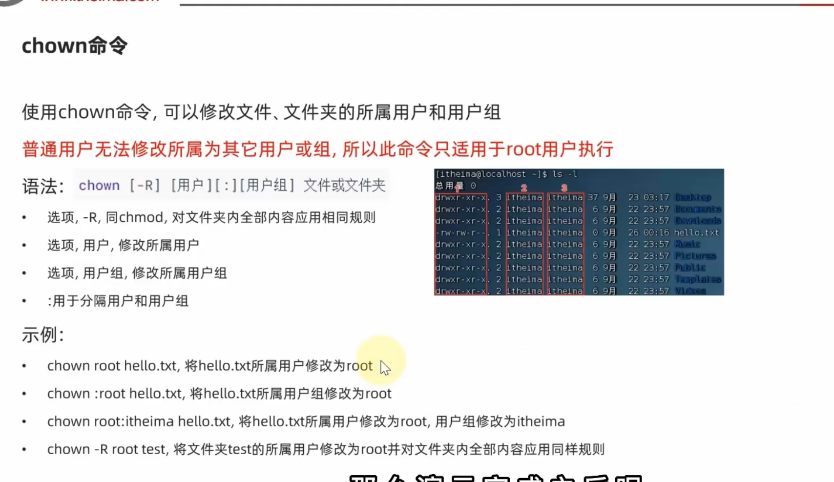 Linux_linux csdn-CSDN博客
