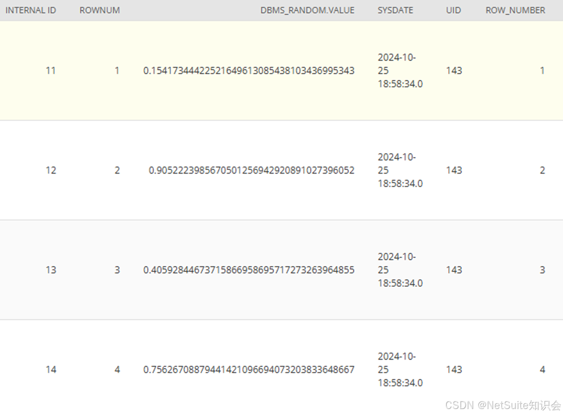 NetSuite Formula中隐藏的Oracle数据库伪列与函数_netsuite 数据库-CSDN博客