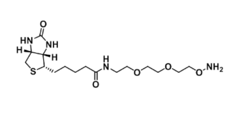 Biotin-PEG2-oxyamine HCl salt，生物素酰肼和氧胺肼衍生物_biotin-peg11-oxyamine-CSDN博客