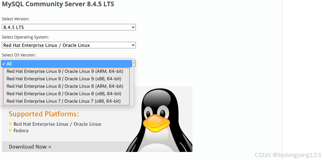 rockey linux rpm安装mysql 8.4.0_mysql8.4 rpm 安装-CSDN博客
