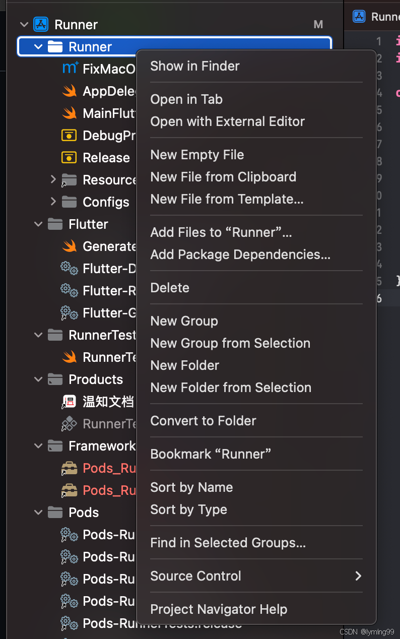 Flutter 工程在 macOS 中不能用中文命名？_flutter macos app 名称-CSDN博客
