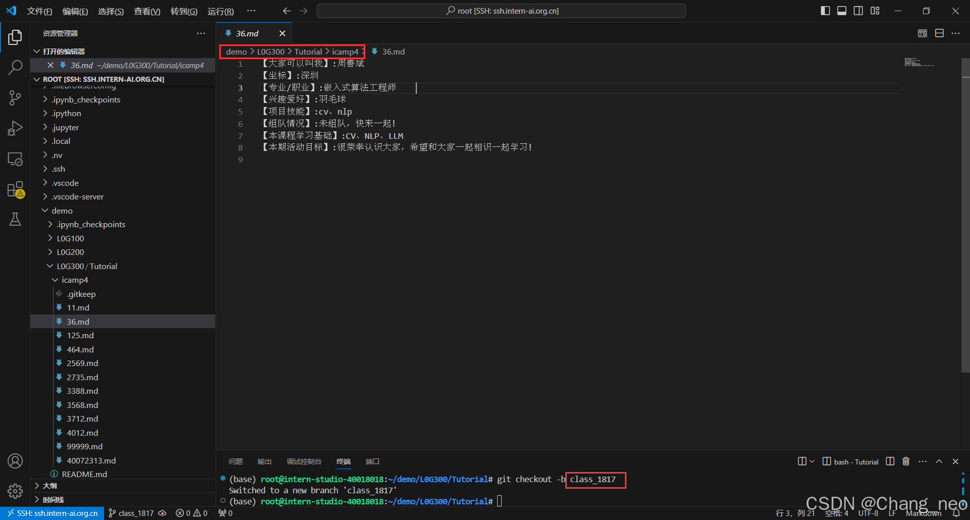 InternLM Camp4 L0G300 Git 基础知识-CSDN博客