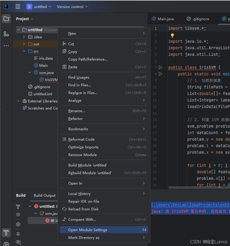 下载 LibSVM 库 并在 IntelliJ IDEA 中添加依赖_libsvm下载-CSDN博客