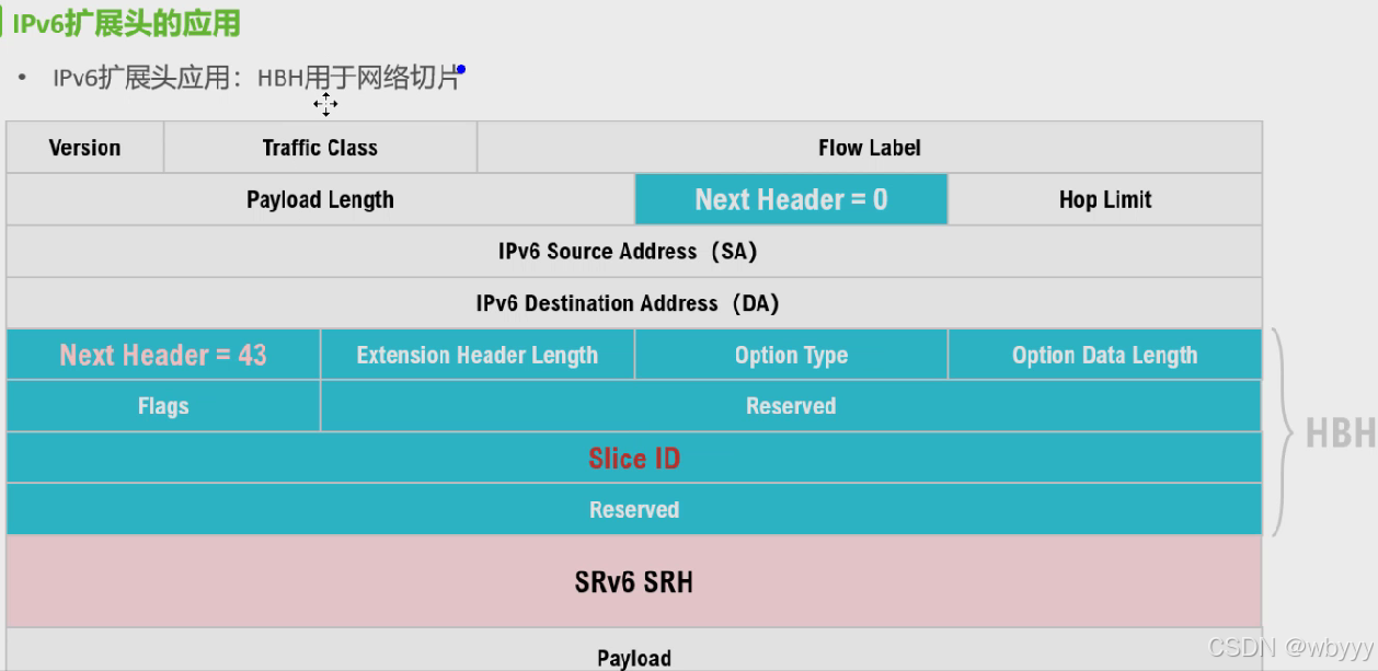 SRv6 SID指令与实现原理_srv6中的hbh-CSDN博客