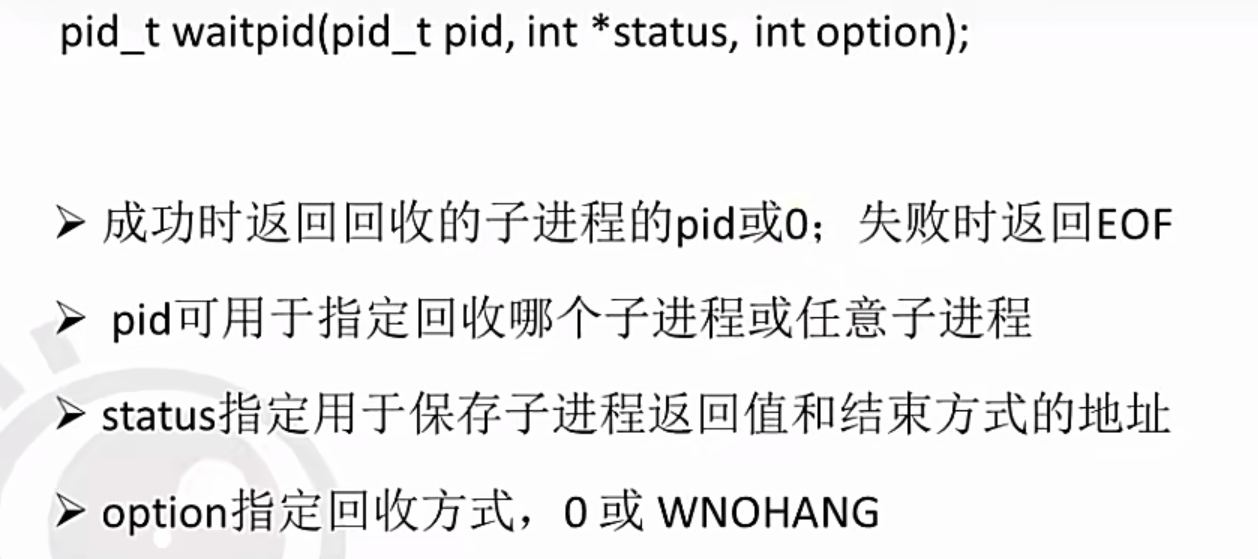 进程回收---wait与waitpid函数的详细解析-CSDN博客