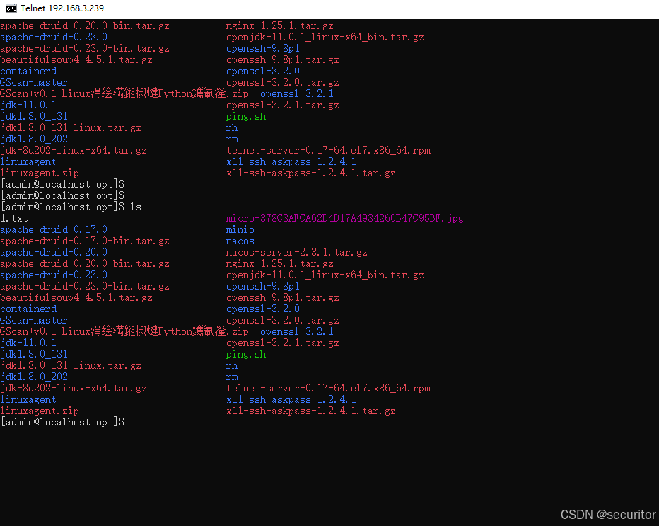 telnet服务-CSDN博客