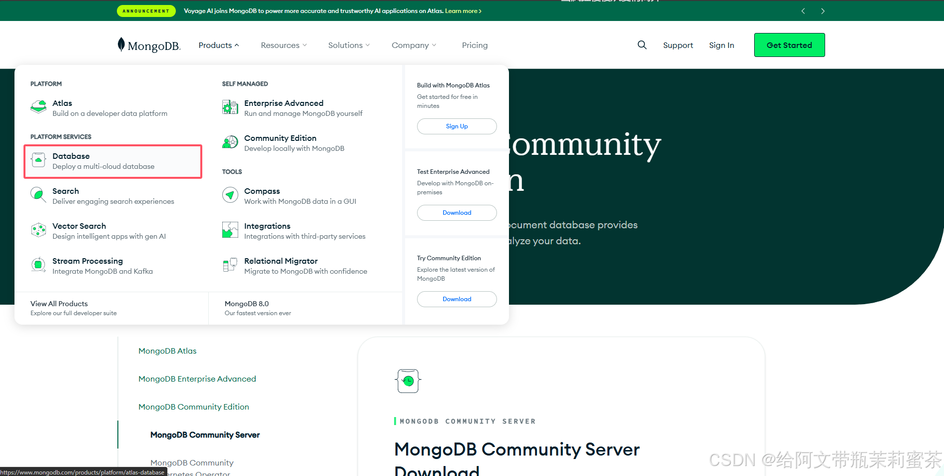 如何创建mongodb云数据库并用Navicat连接_navicat连接mongodb-CSDN博客