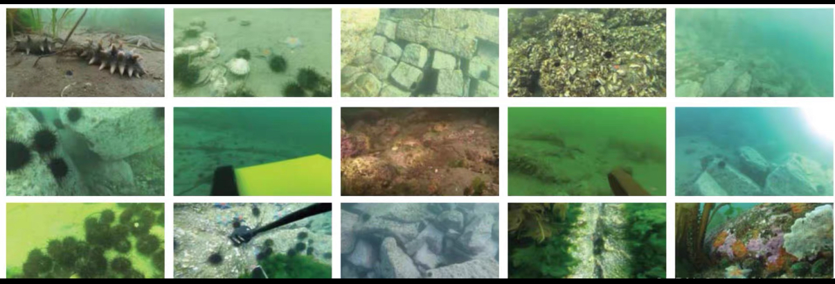 GitHub - QQ767172261/Using-the-deep-learning-framework-target-detection-algorithm-__-YOLOv8 ...