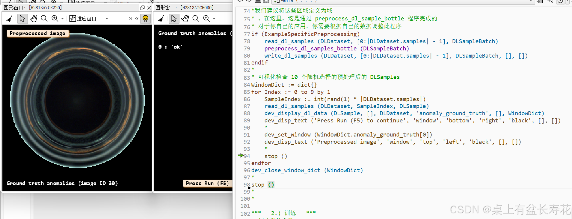 halcon案例dl_anomaly_detection_workflow_halcon异常检测示例程序算法讲解-CSDN博客